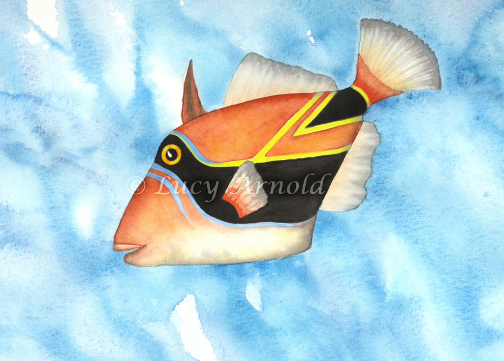 Humuhumu - Fine Art of Lucy Arnold