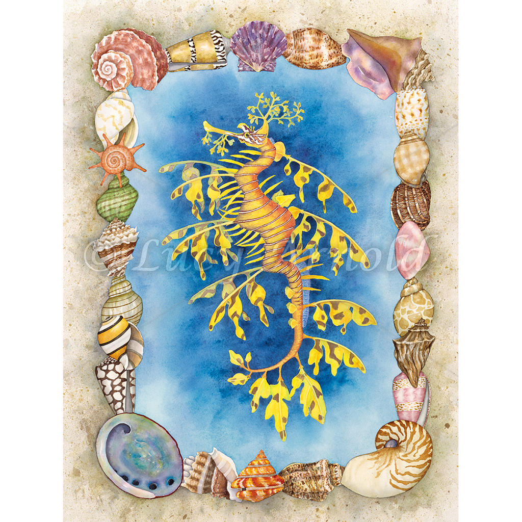 Leafy Sea Dragon - Fine Art of Lucy Arnold