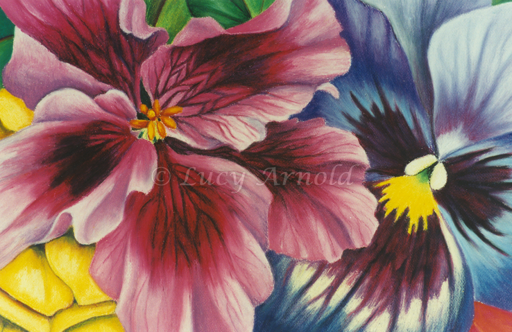 Flowers & Leaves - Fine Art of Lucy Arnold