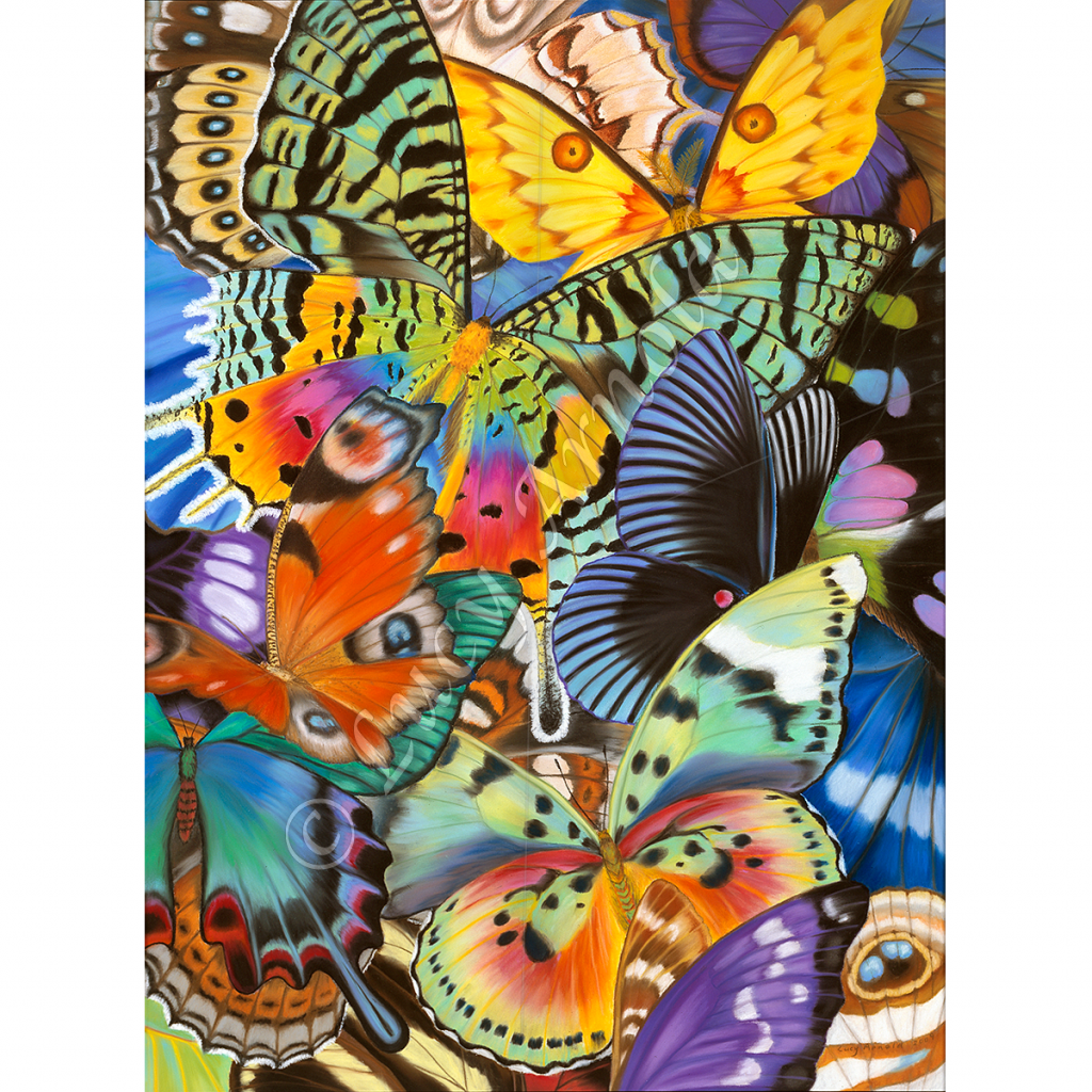 Bugs & Butterflies - Fine Art of Lucy Arnold