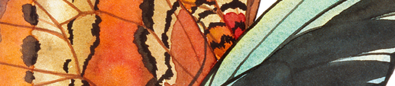 Welcome - Fine Art of Lucy Arnold