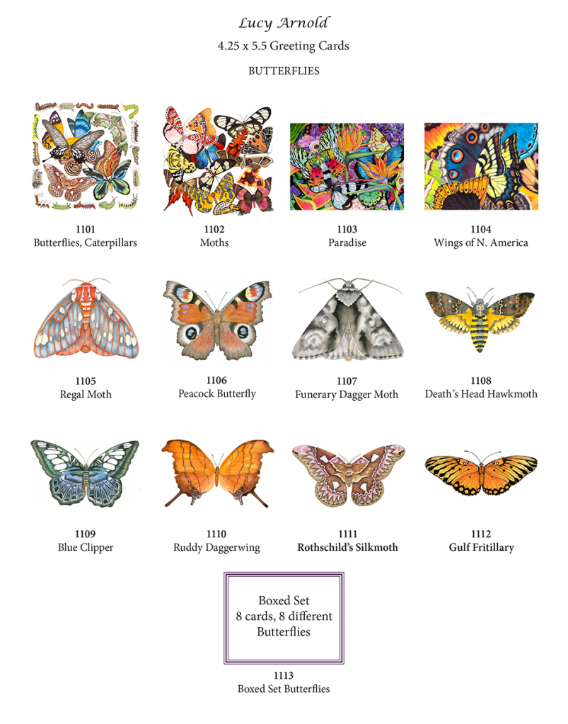 Butterflies-sheet - Fine Art of Lucy Arnold