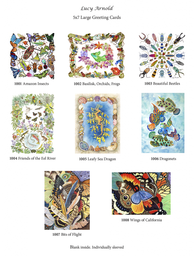Boxed Set: Large Greeting Cards (8 cards, 8 designs) - Fine Art of Lucy ...