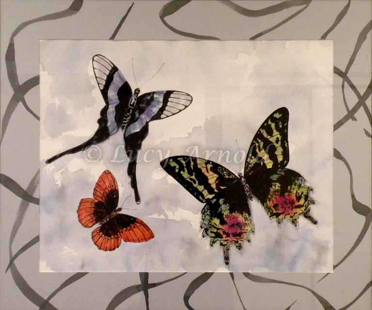 Bugs & Butterflies - Fine Art of Lucy Arnold