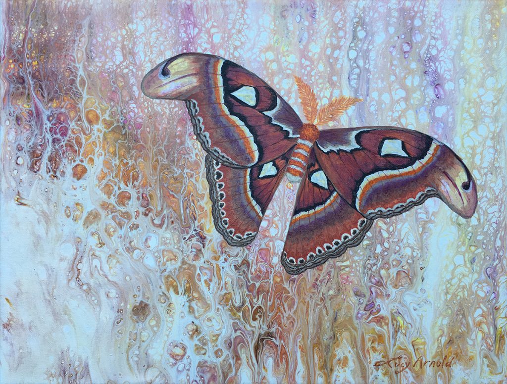 Atlas Silk Moth in Guinevere's Woods - Fine Art of Lucy Arnold