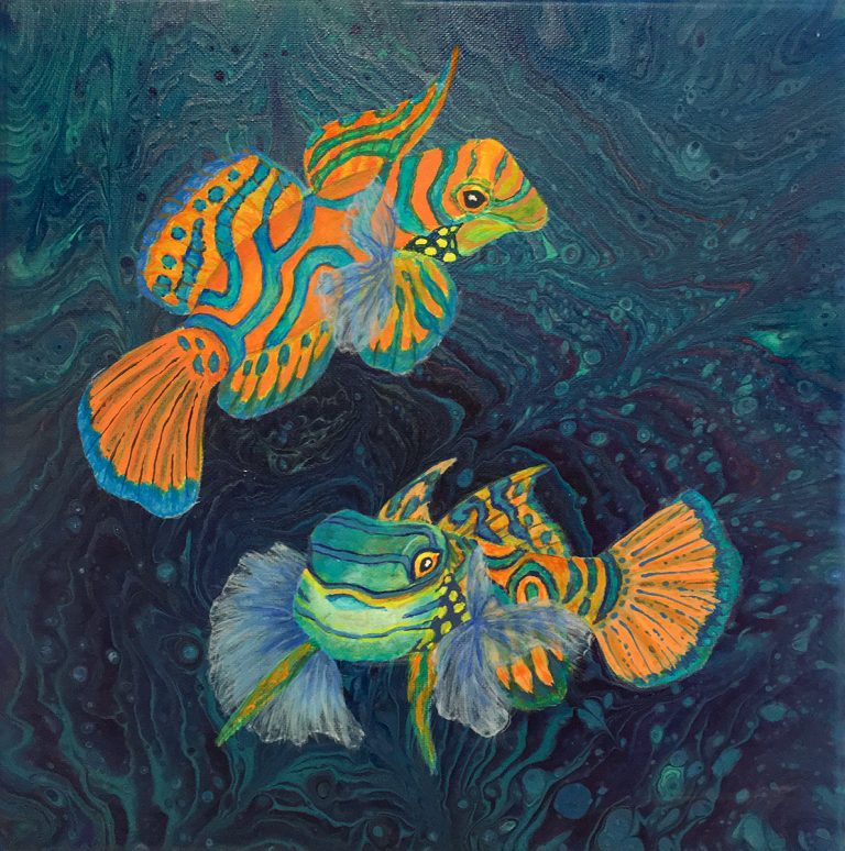 Mandarinfish - Fine Art of Lucy Arnold
