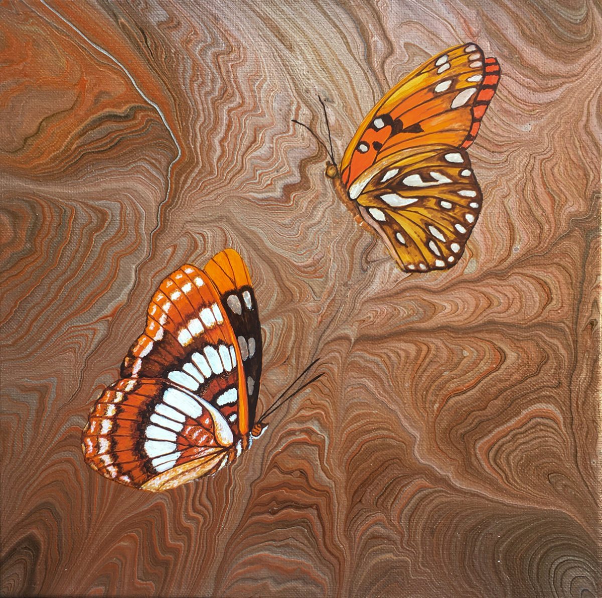 Red Sandstone California Butterflies Fine Art Of Lucy Arnold