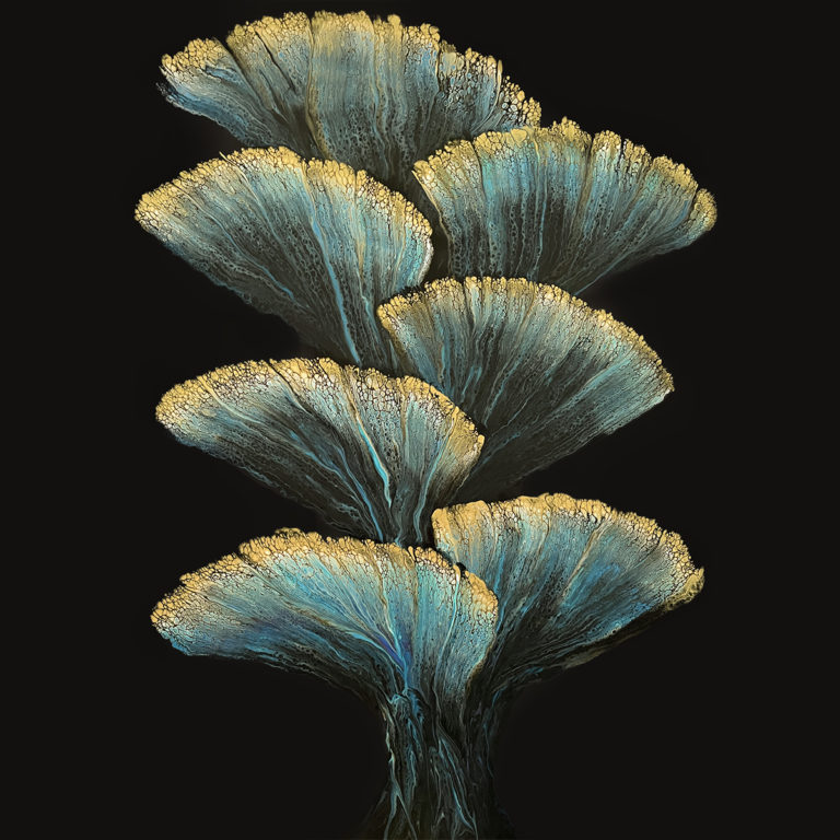 Fan Tree - Fine Art of Lucy Arnold