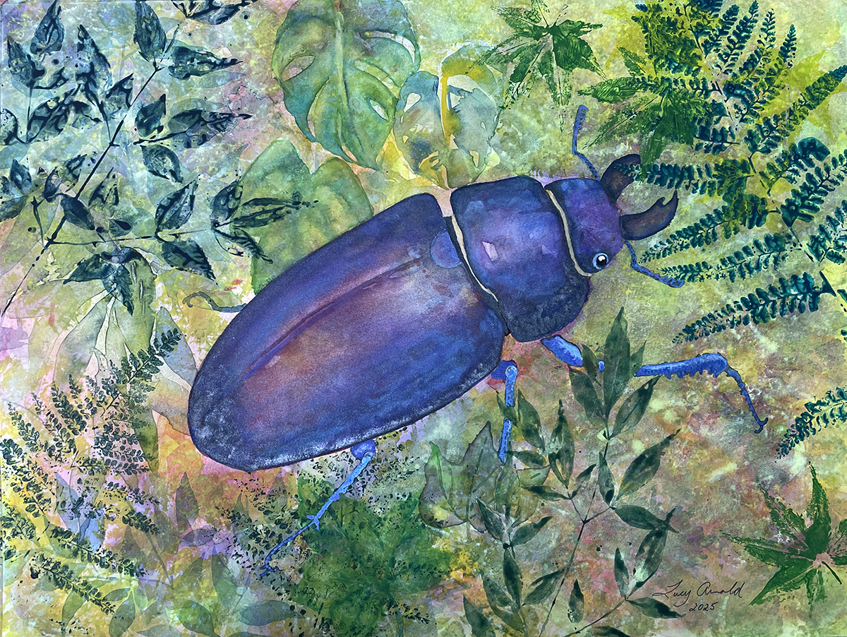 Stag Beetle 4in Fine Art Of Lucy Arnold
